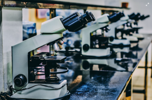 12 Science Fair Project Ideas for Elementary Schoolers National STEM ...